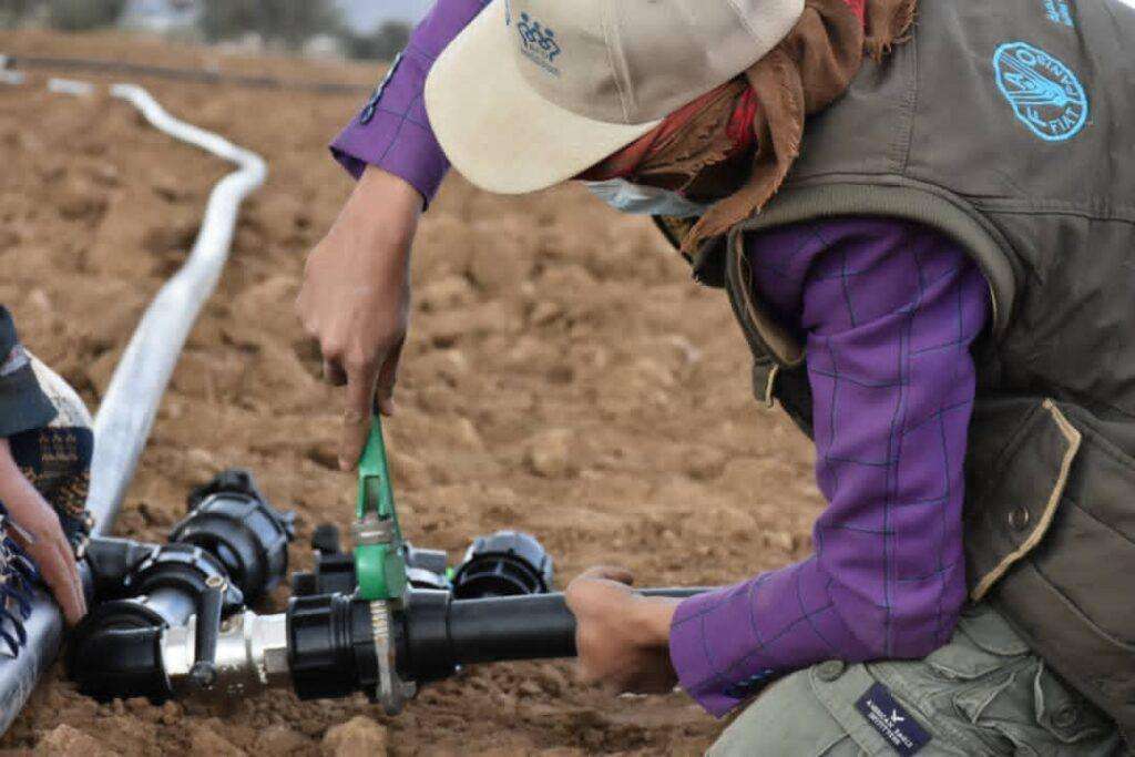 Building Foundation for Development International I منظمة بناء للتنمية ...