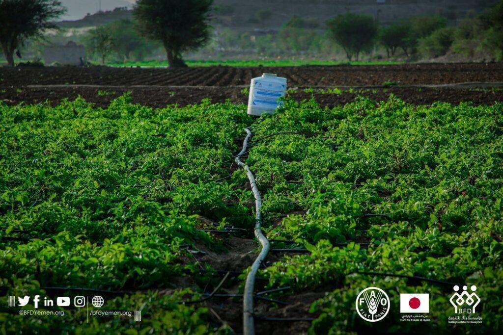 BFD - FSL Program - Sustainable Agricultural Development - Building ...