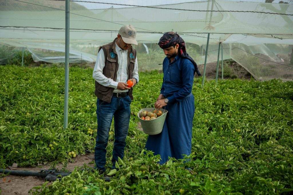 Annual Reports Archives - Building Foundation for Development ...